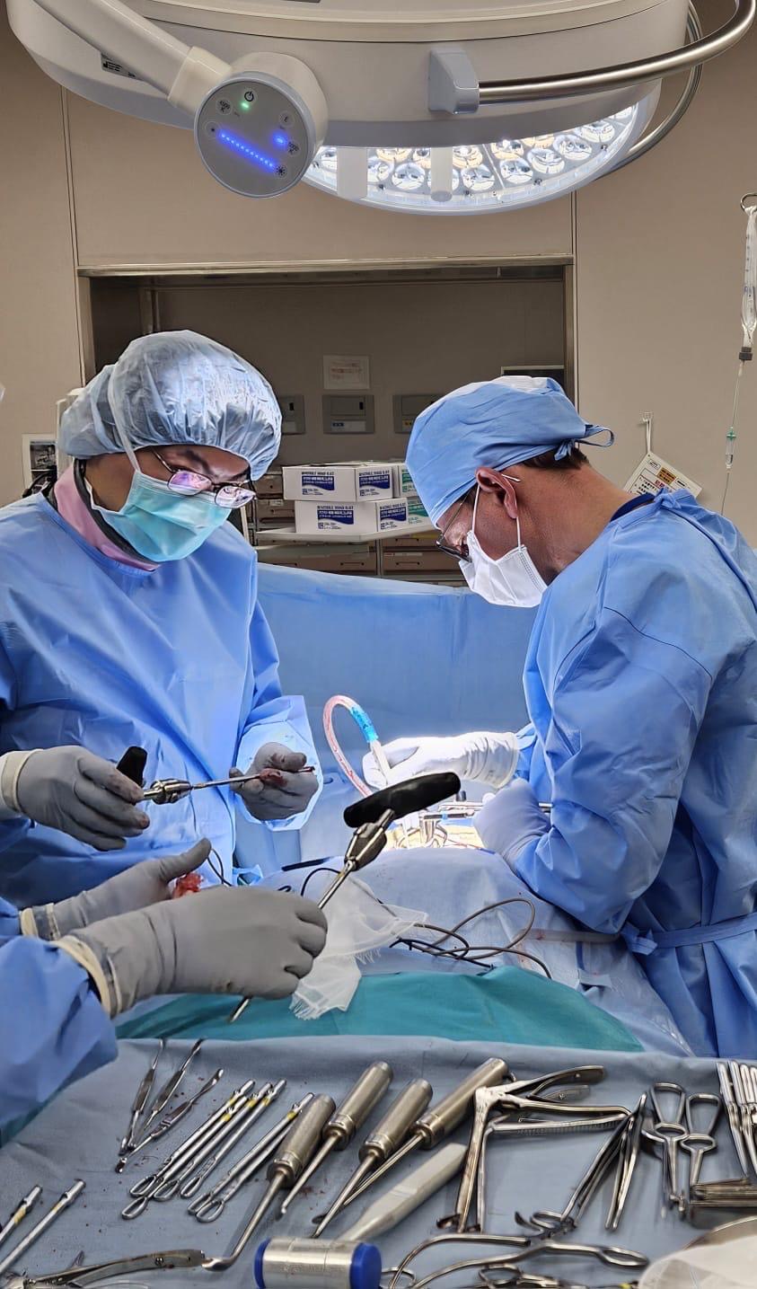 Gastchirurgie Japan | Antwerp Spine Centre | Dr. Mahieu - Dr. Veyt